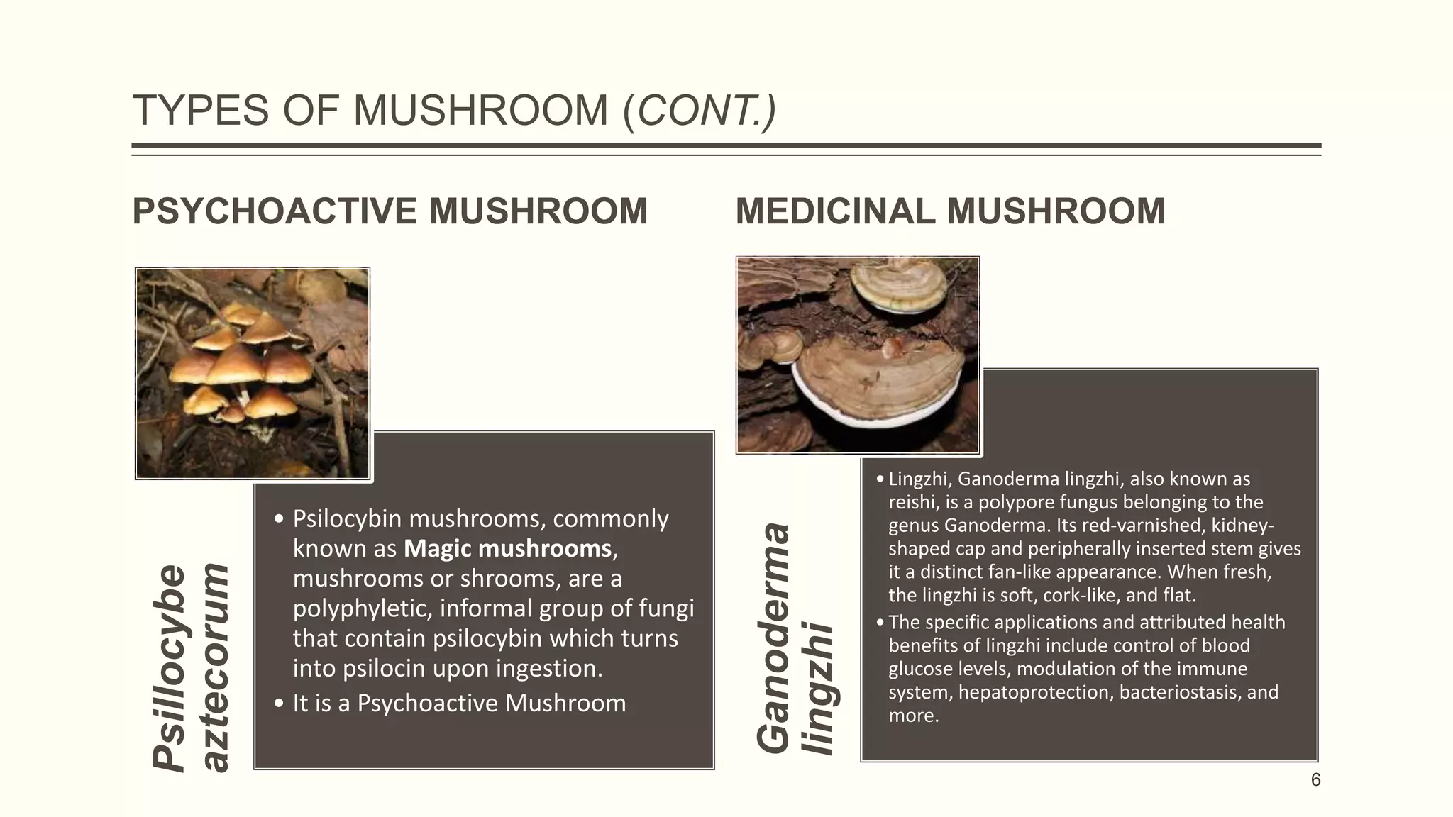 Presentation on rural agriculture work experience (RAWE) Original (1).pptx