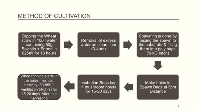 Presentation on rural agriculture work experience (RAWE) Original (1 ...