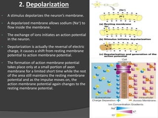 Presentation on second topic.pptx