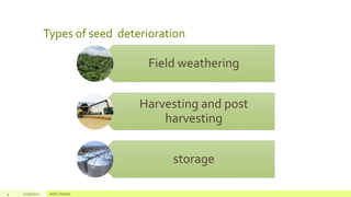 Presentation on seed deterioration | PPTX