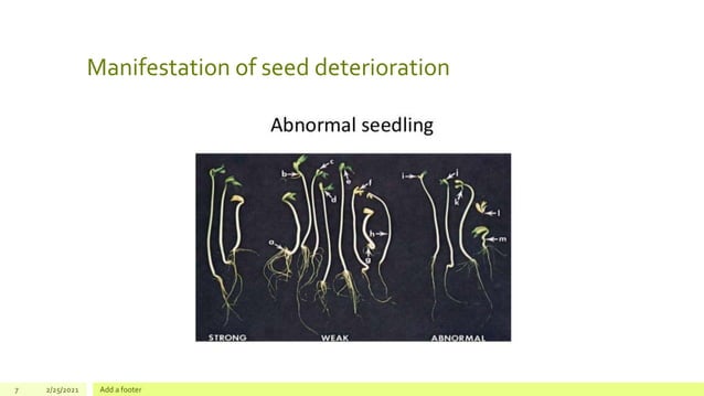Presentation on seed deterioration | PPTX