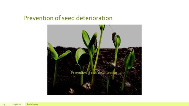 Presentation on seed deterioration | PPTX