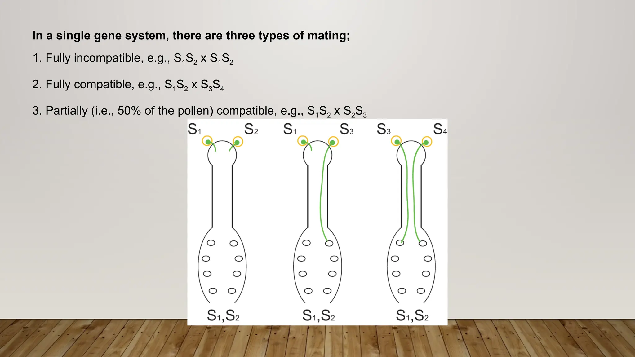 presentation on self incompatibility.pptx