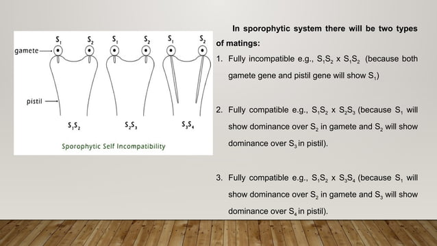 presentation on self incompatibility.pptx