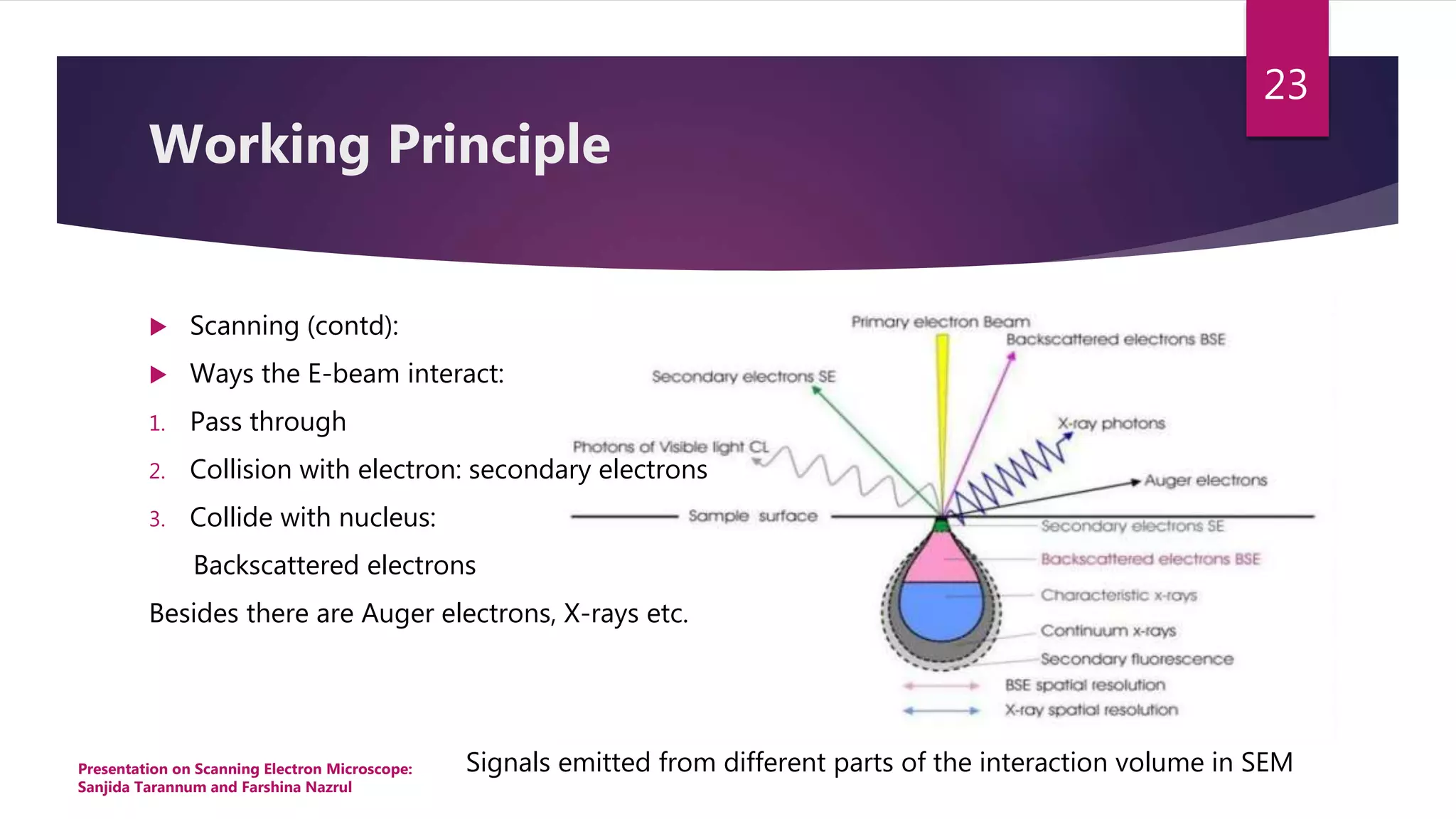 Presentation on SEM (Scanning Electron Microscope) | PPTX