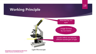 Presentation on SEM (Scanning Electron Microscope) | PPTX
