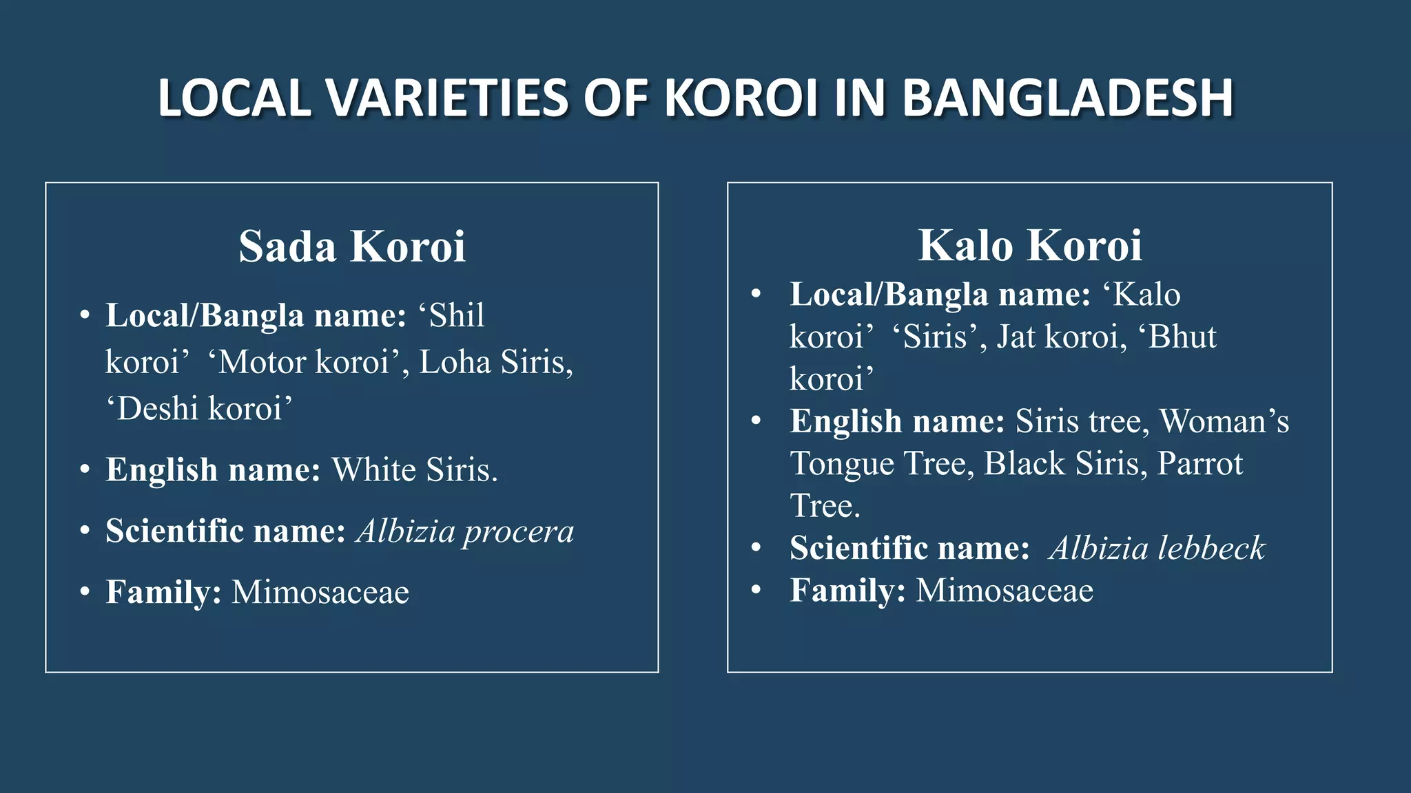 Presentation on Silvan Features of Lebbeck or Lebbek tree or Siris tree ...