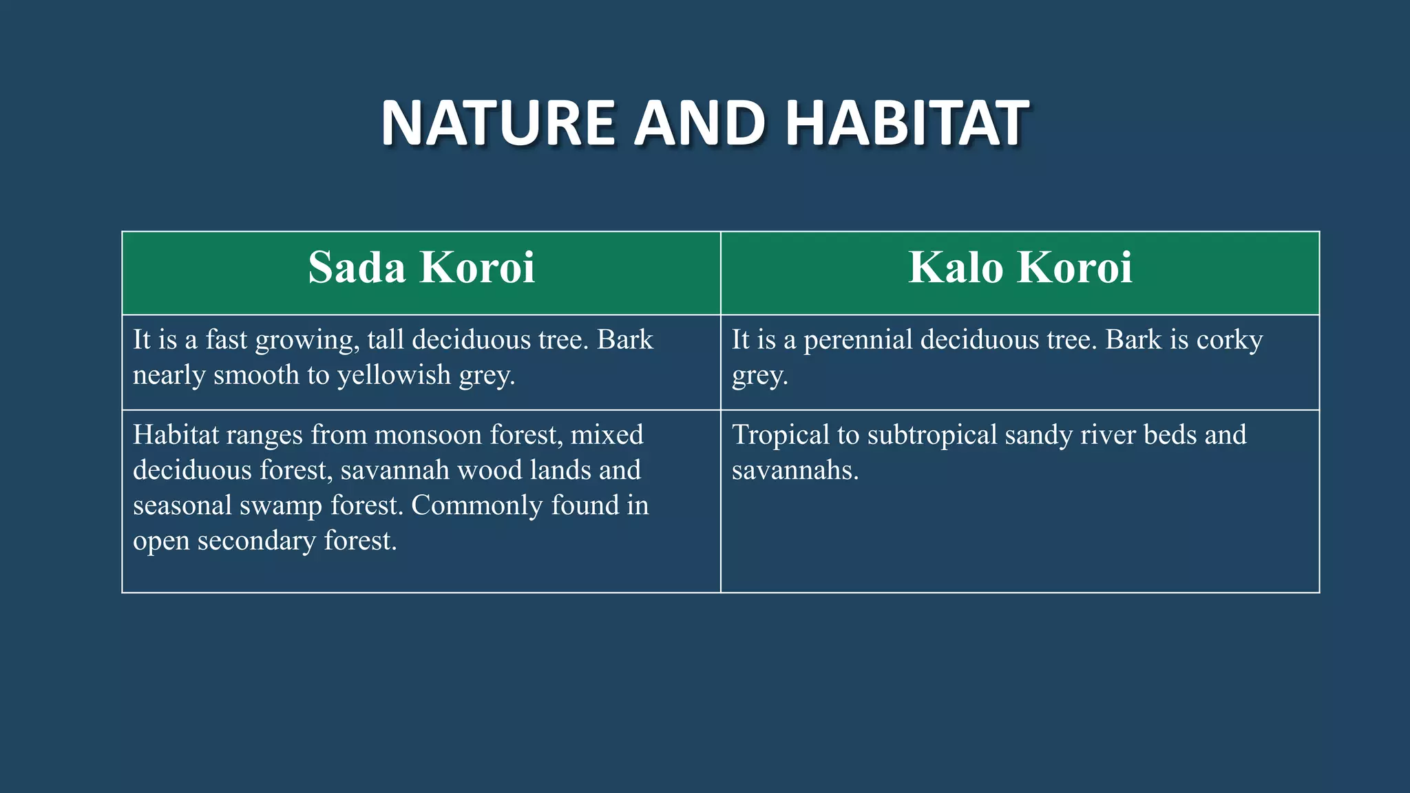 Presentation on Silvan Features of Lebbeck or Lebbek tree or Siris tree ...