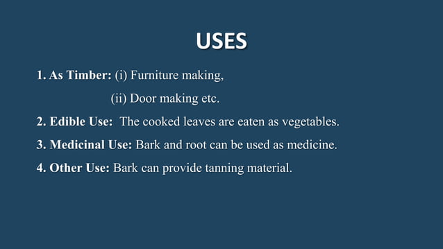 Presentation on Silvan Features of Lebbeck or Lebbek tree or Siris tree ...