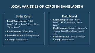 Presentation on Silvan Features of Lebbeck or Lebbek tree or Siris tree ...