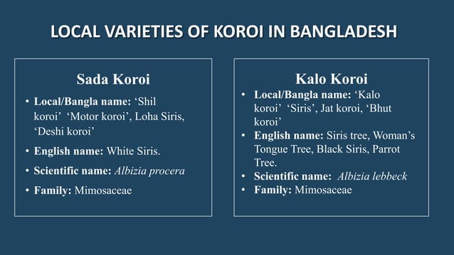 Presentation on Silvan Features of Lebbeck or Lebbek tree or Siris tree ...