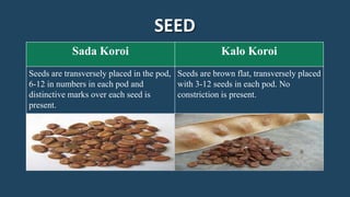 Presentation on Silvan Features of Lebbeck or Lebbek tree or Siris tree ...