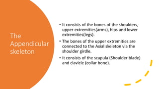 Skeletal system | PPTX