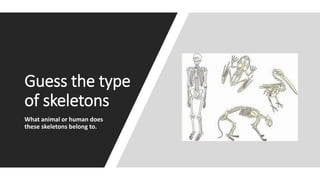 Skeletal system | PPT