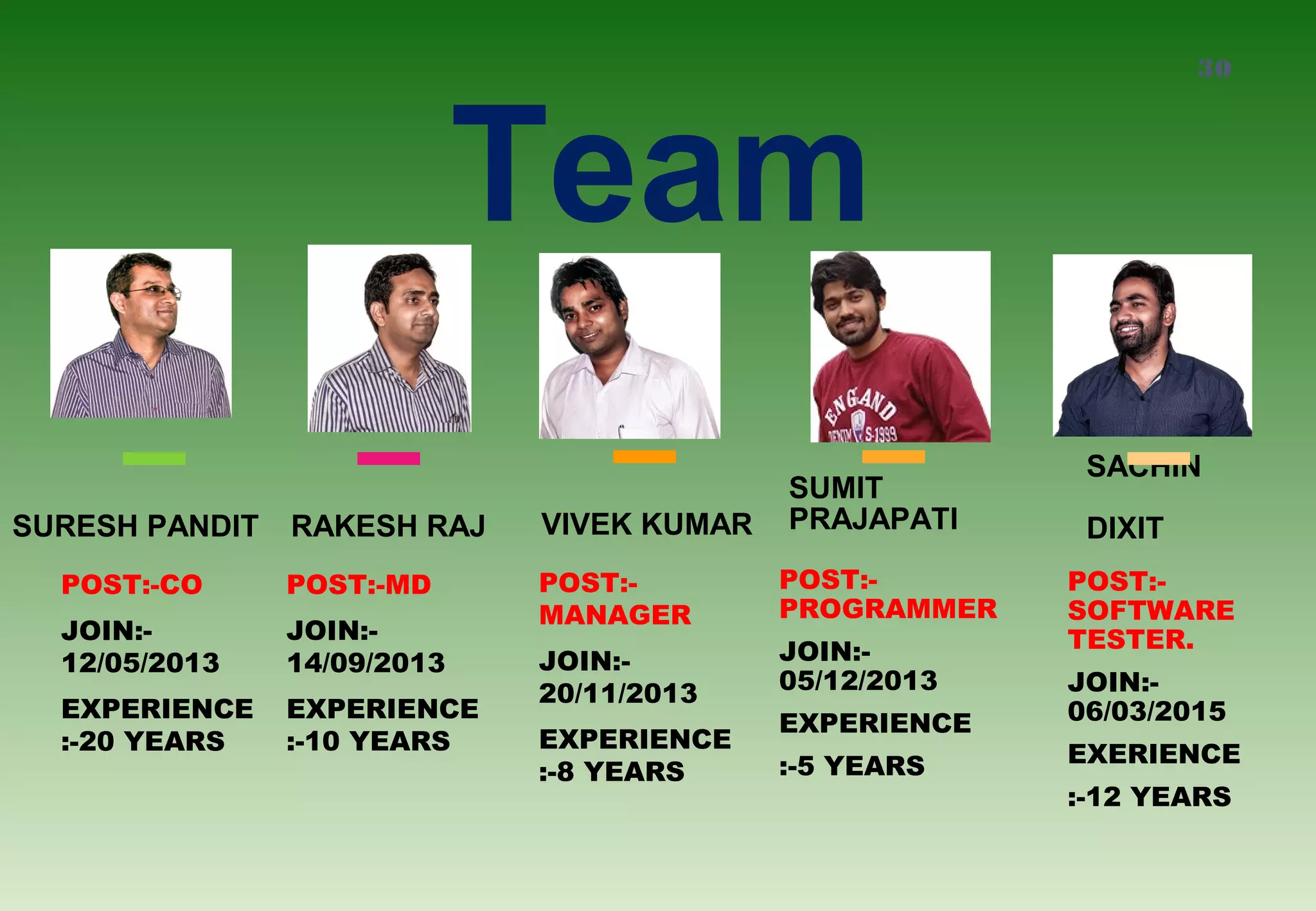 Presentation on software company | PPT