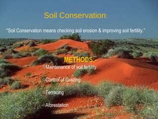 Presentation on soil | PPT