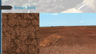 Presentation on soil of south asia | PPT