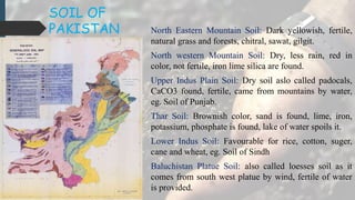 Presentation on soil of south asia | PPT