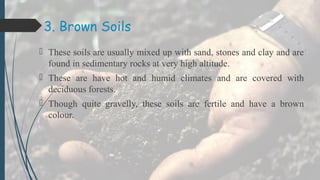 Presentation on soil of south asia | PPT
