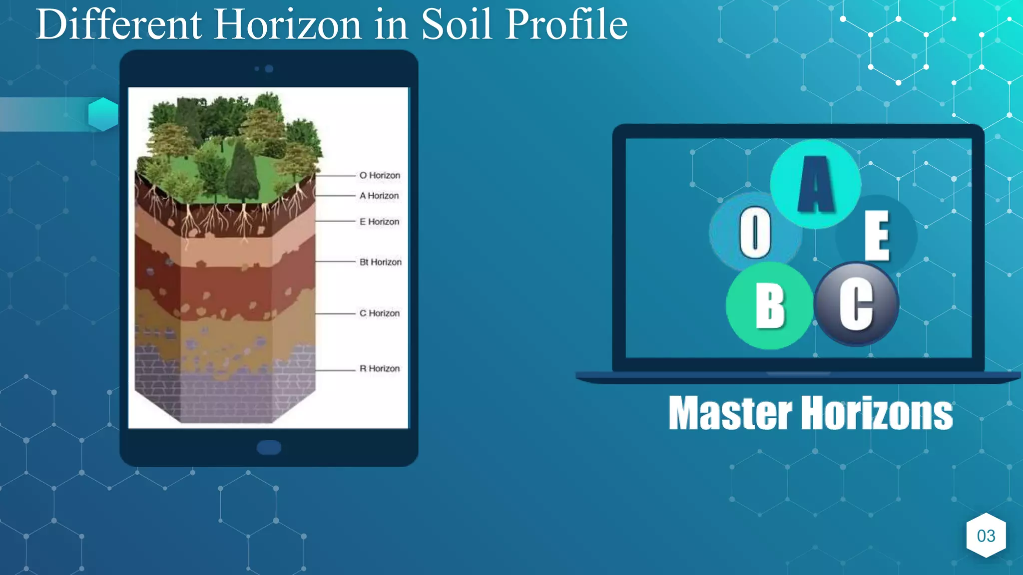 Presentation on soil profile | PPTX
