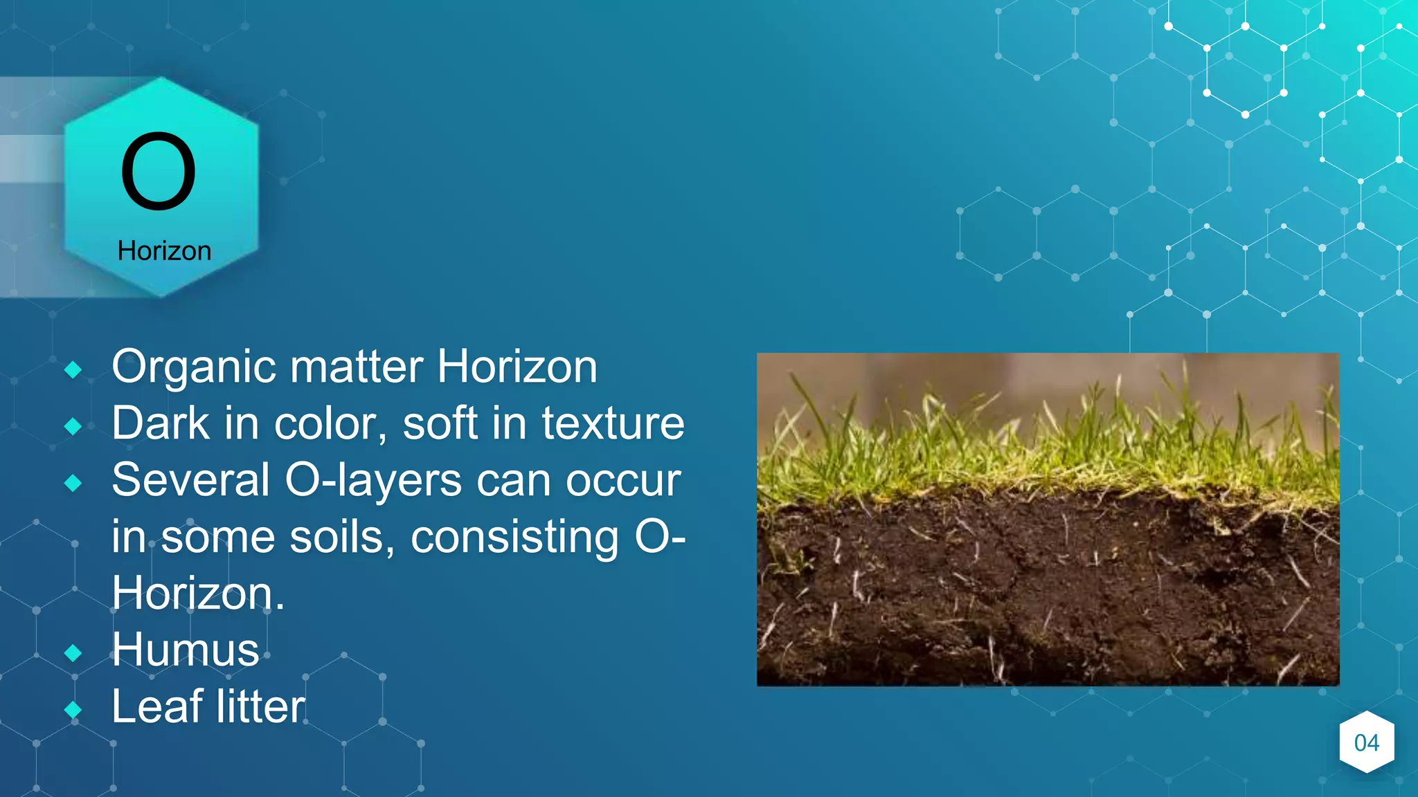 Presentation on soil profile | PPTX