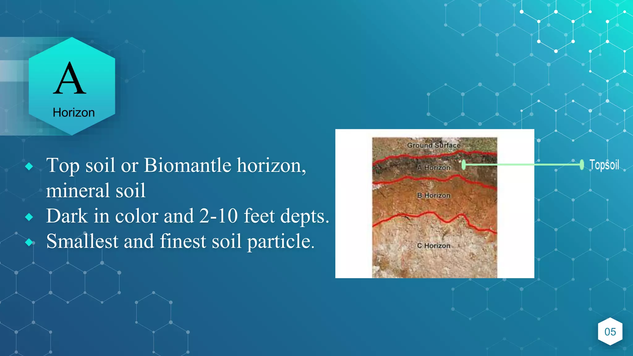 Presentation on soil profile | PPTX
