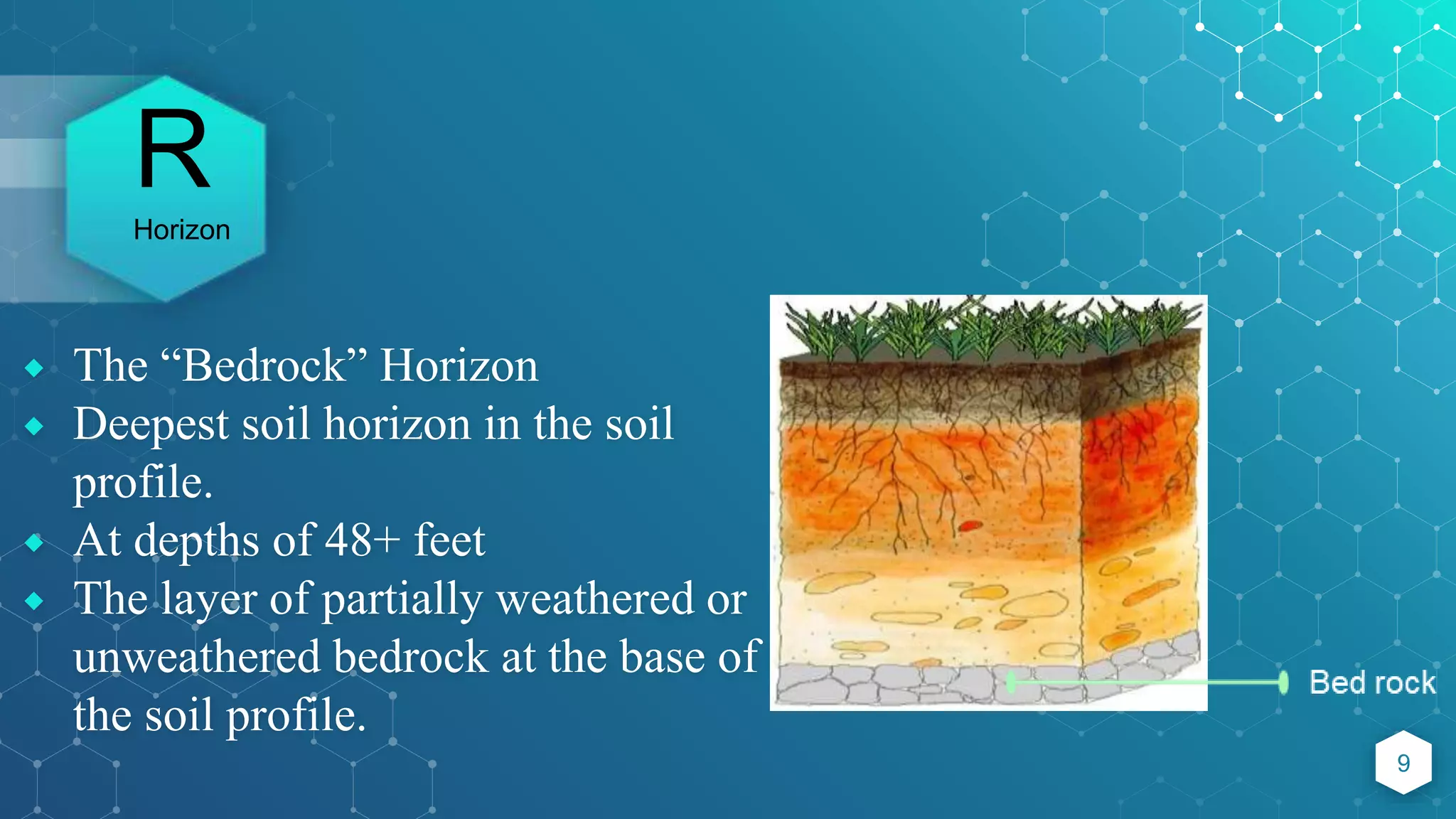 Presentation on soil profile | PPTX