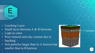 Presentation on soil profile | PPTX