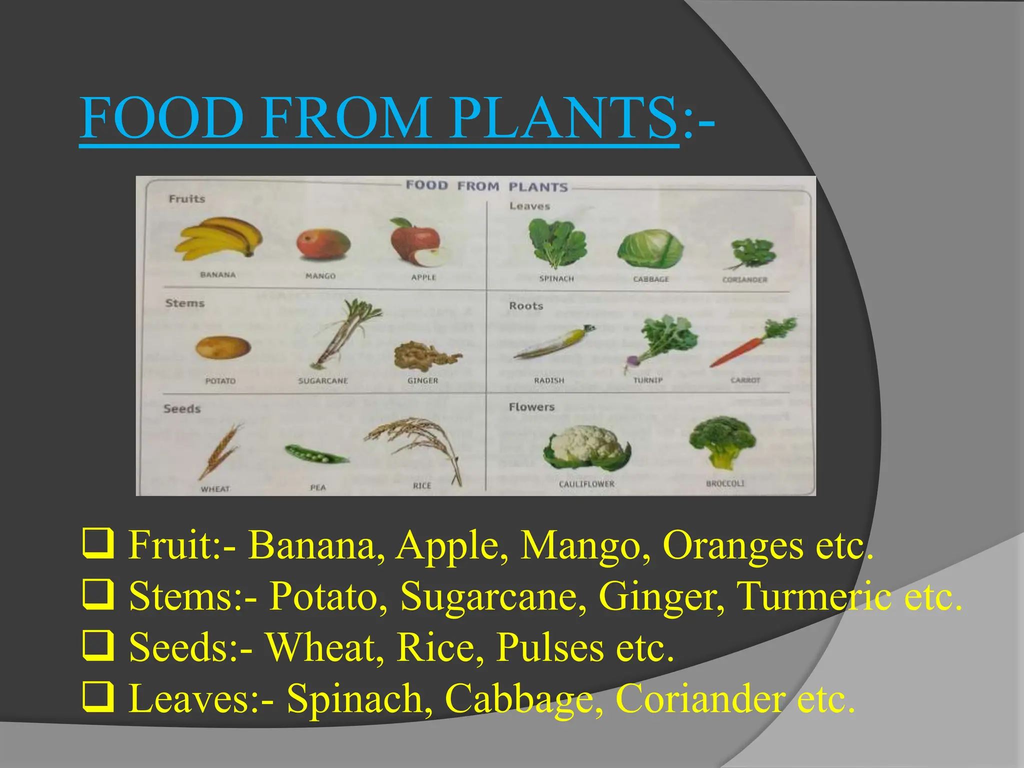 presentation on source of food - in english | PPTX