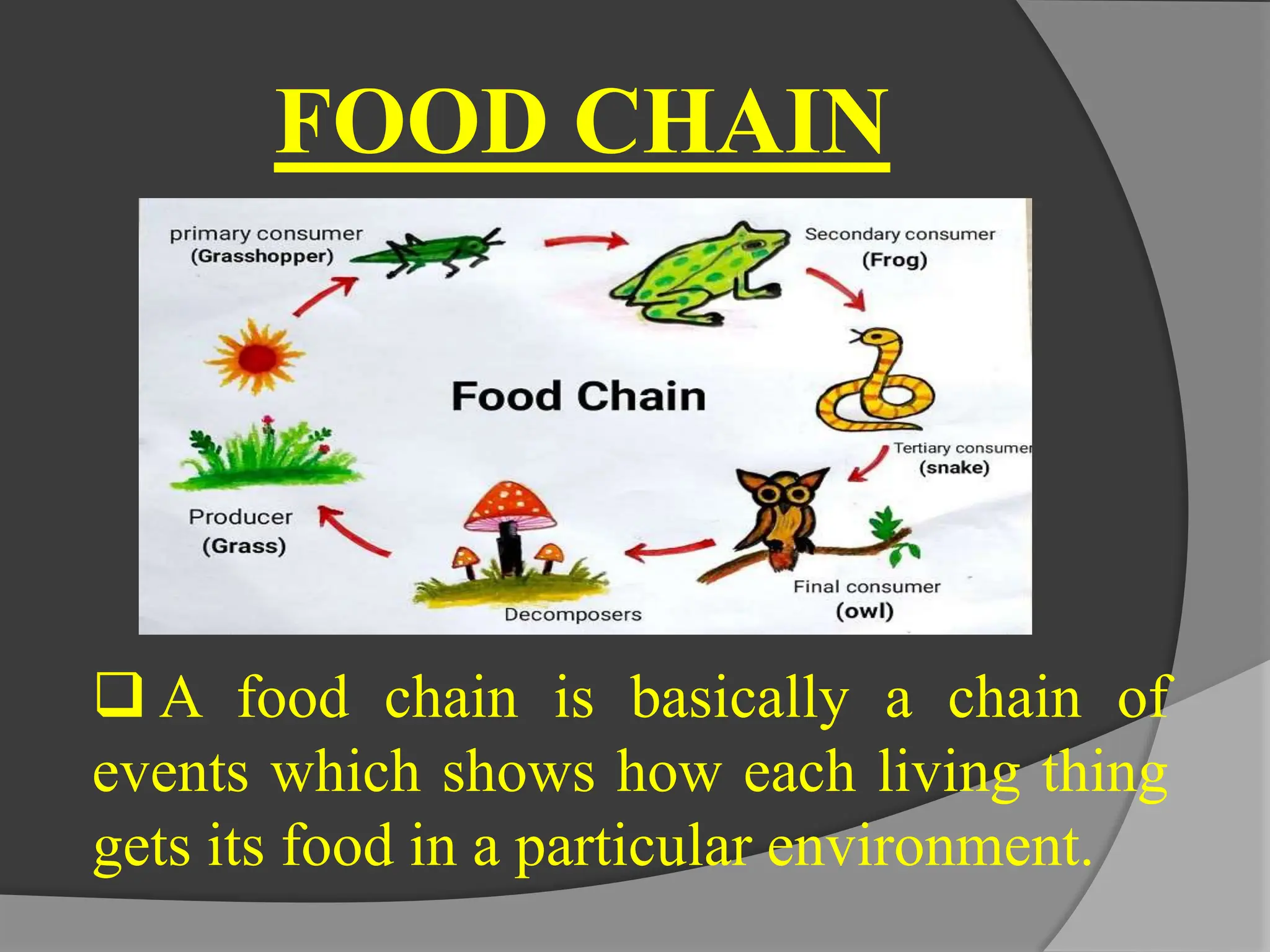 presentation on source of food - in english | PPTX