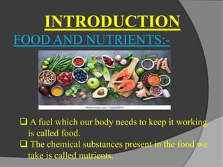 presentation on source of food - in english | PPTX