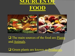 presentation on source of food - in english | PPT