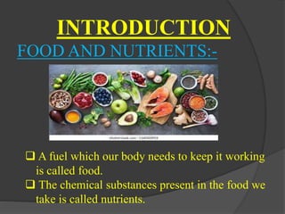 Presentation on source of food | PPTX