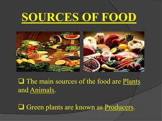 Presentation on source of food | PPTX