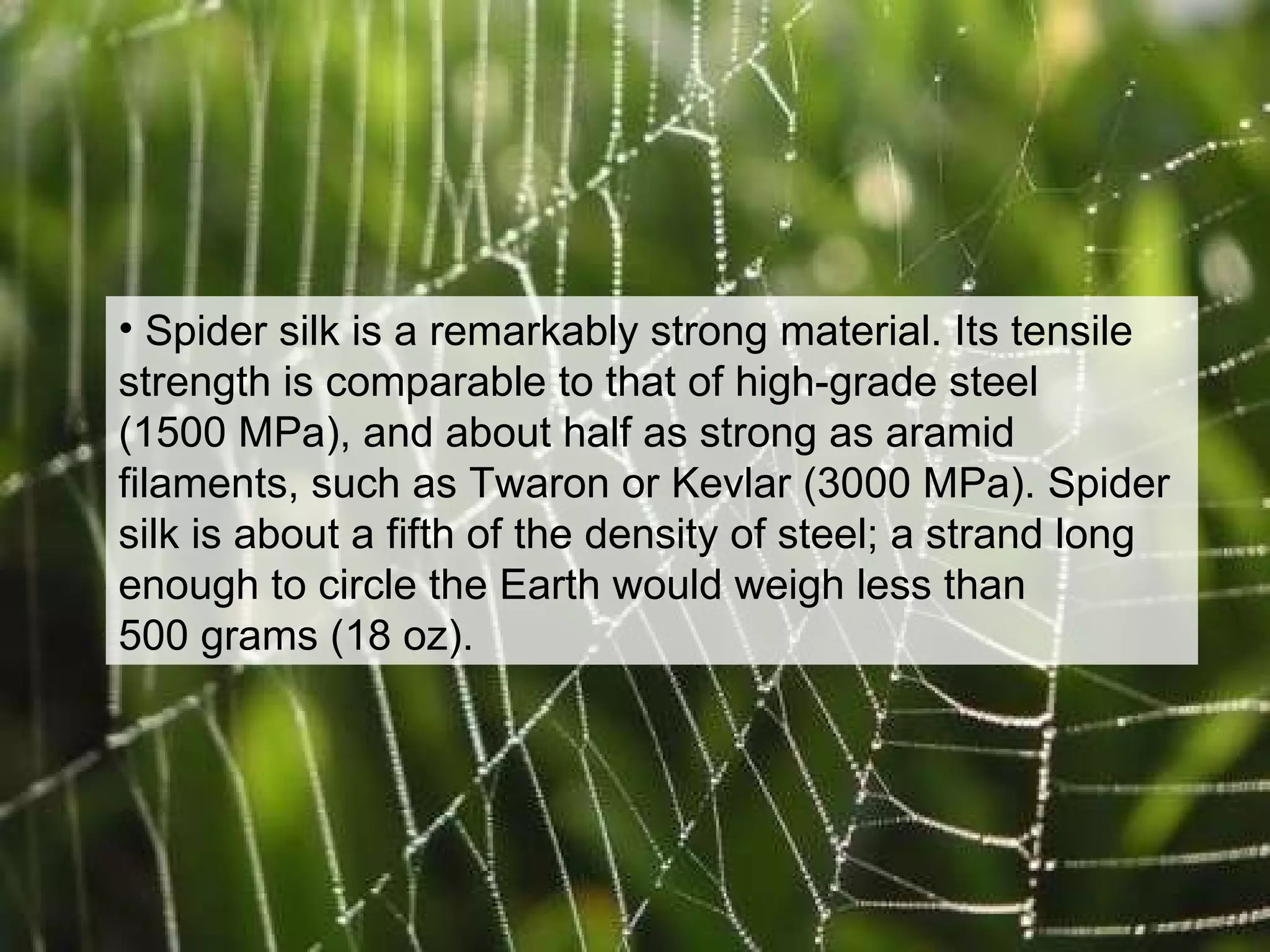 Spider Silk | PPT