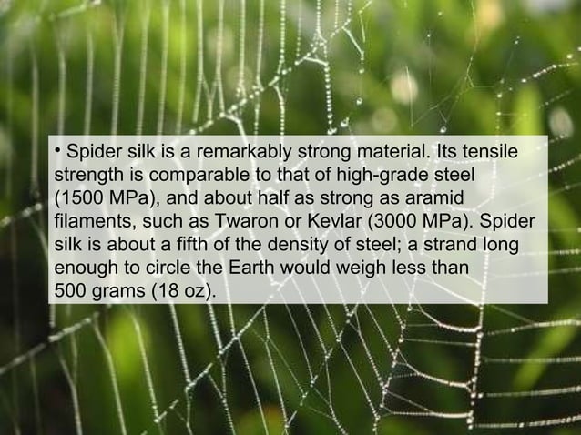 Spider Silk | PPT