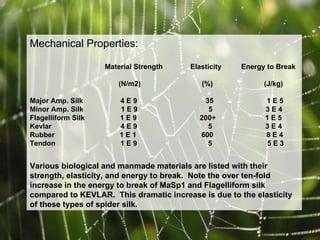 Spider Silk | PPT