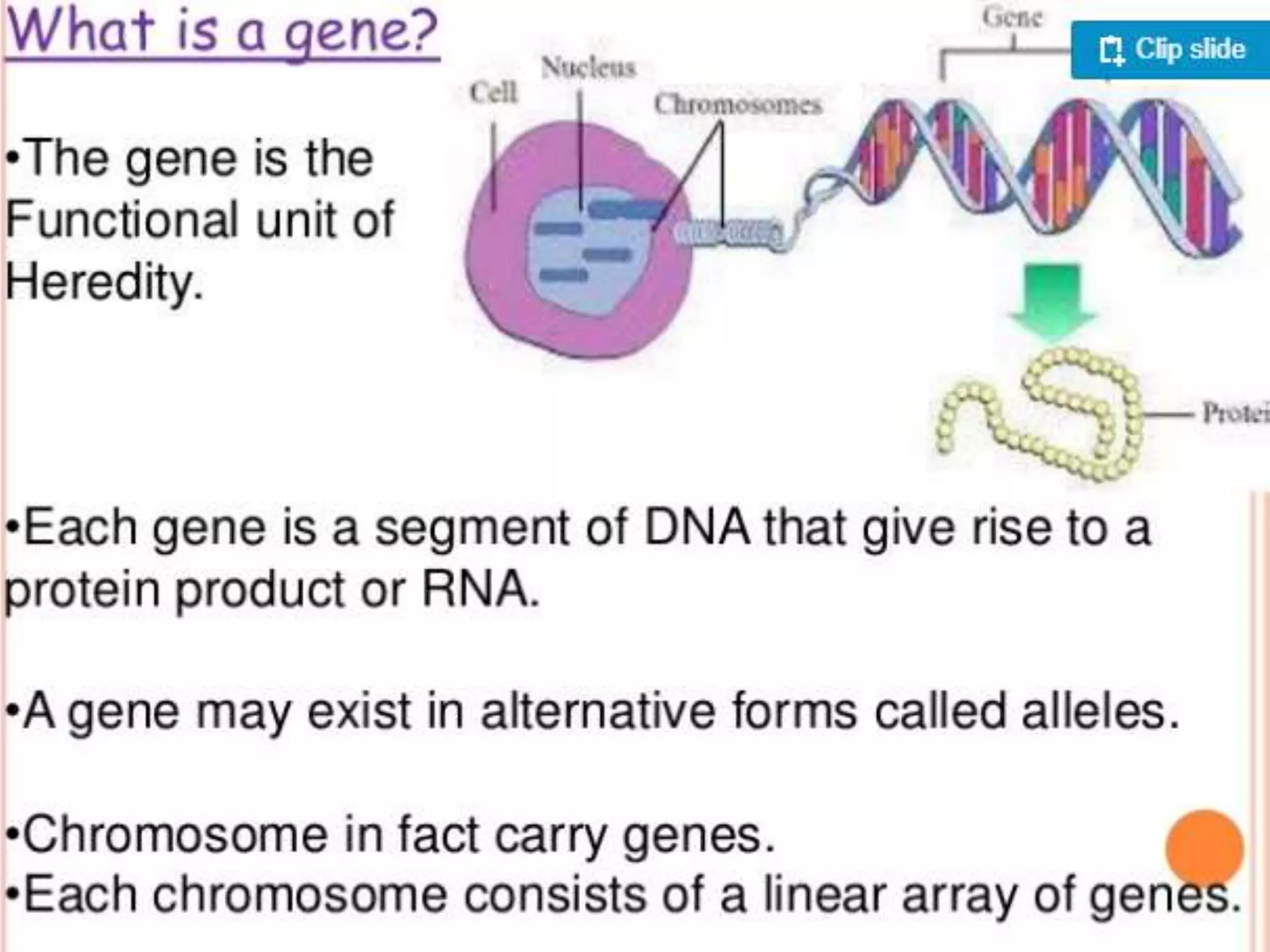 Presentation on st. and function of gene | PPTX