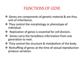 Presentation on st. and function of gene | PPTX