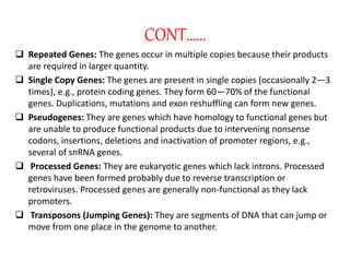 Presentation on st. and function of gene | PPTX