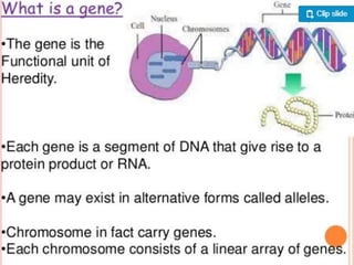 Presentation on st. and function of gene | PPTX
