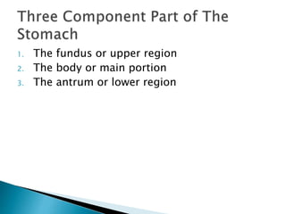 Presentation on Stomach | PPTX