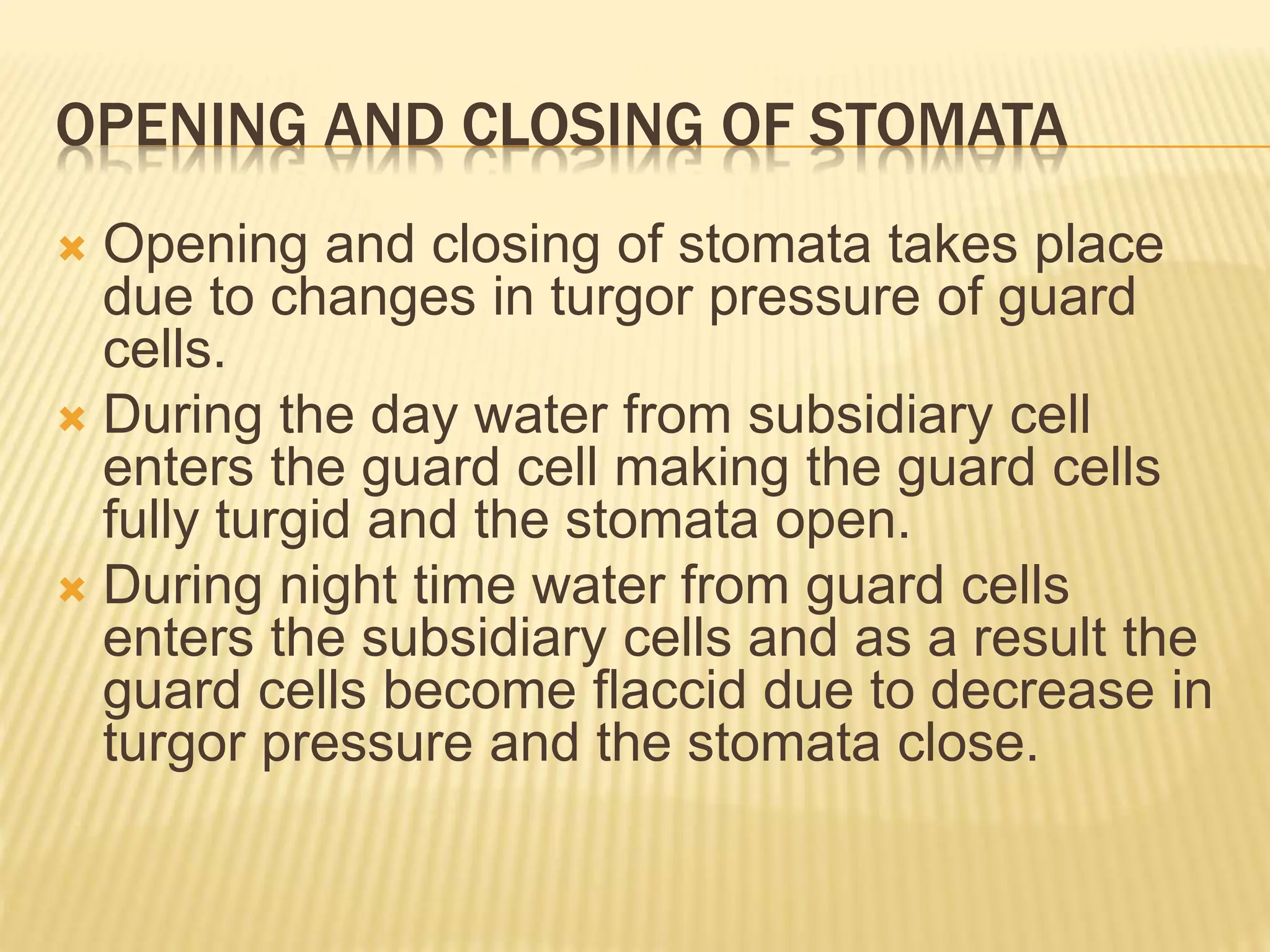 Morphological_identification_of_ stomata _ by subhashree.pptx