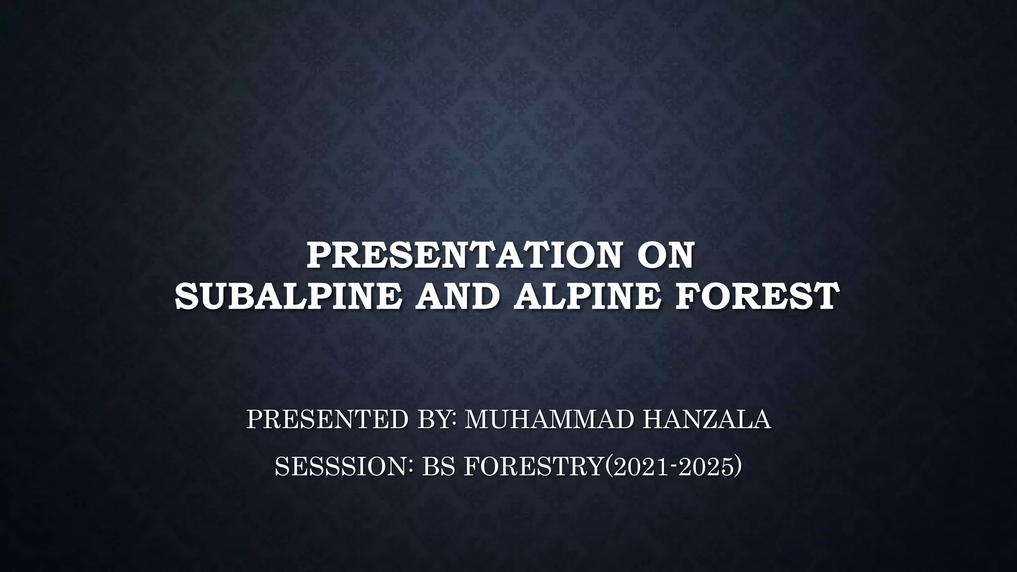 Presentation on SUB ALPINE AND ALPINE FORESTS.pptx