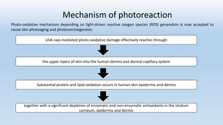 sunprotection, sunscreen classification and regulatory aspects | PPTX