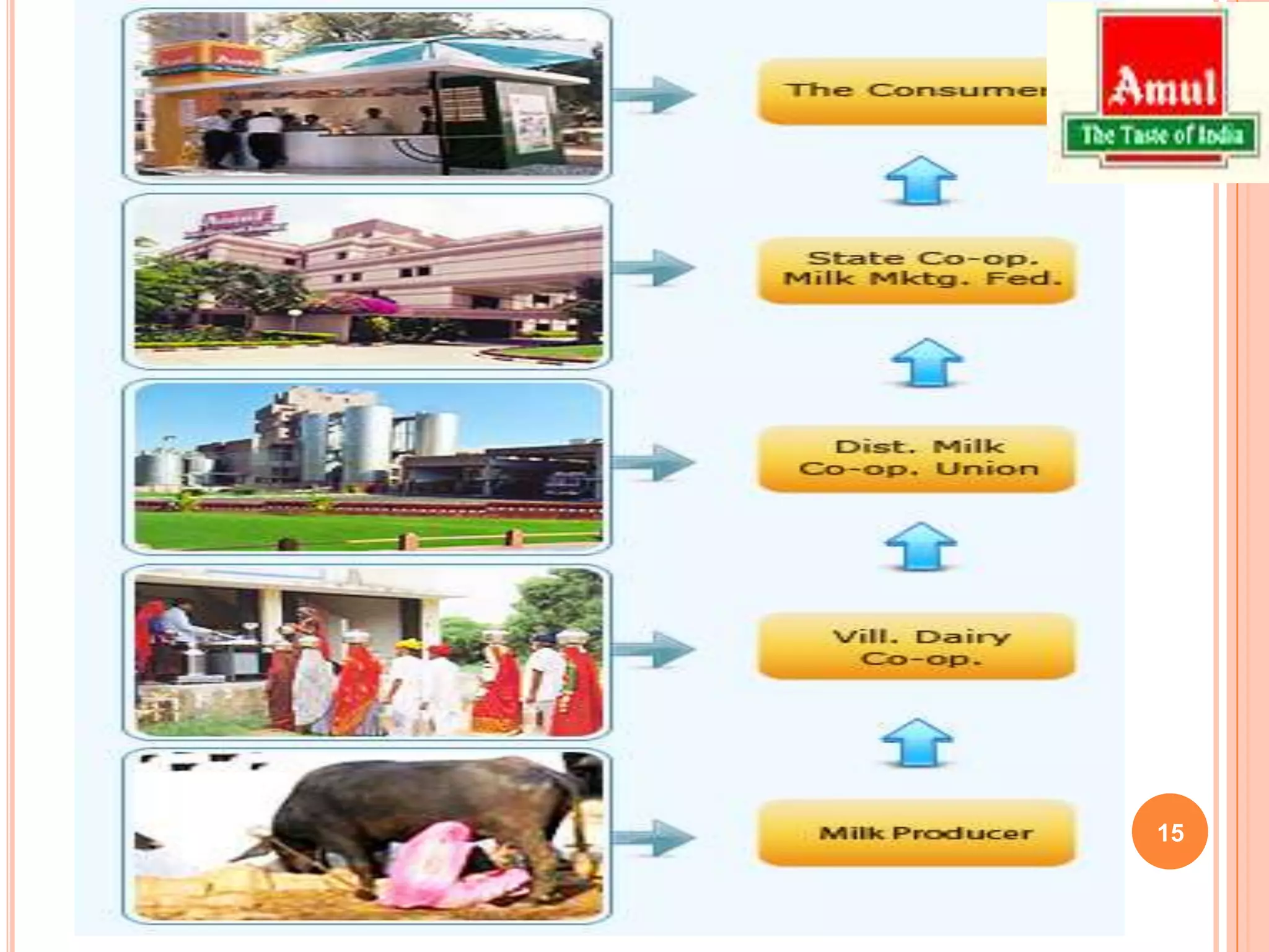 Presentation on Supply Chain Management of AMUL | PPTX