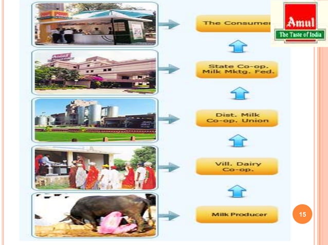 Presentation on Supply Chain Management of AMUL