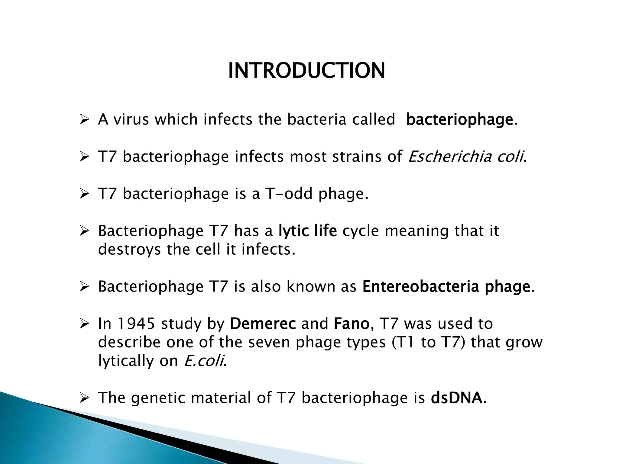 PRESENTATION ON T7 BACTERIOPHAGE.pptx