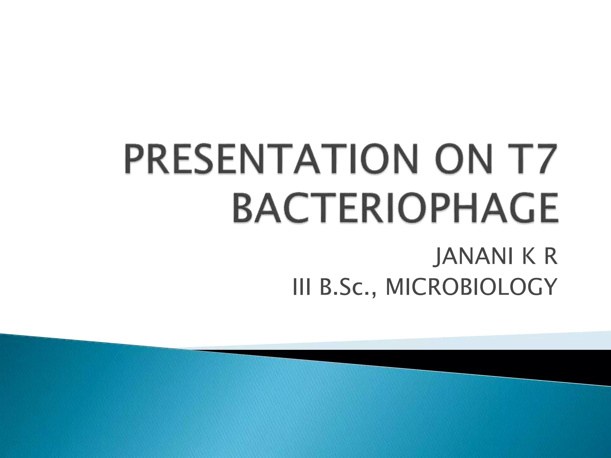 PRESENTATION ON T7 BACTERIOPHAGE.pptx