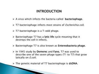 PRESENTATION ON T7 BACTERIOPHAGE.pptx